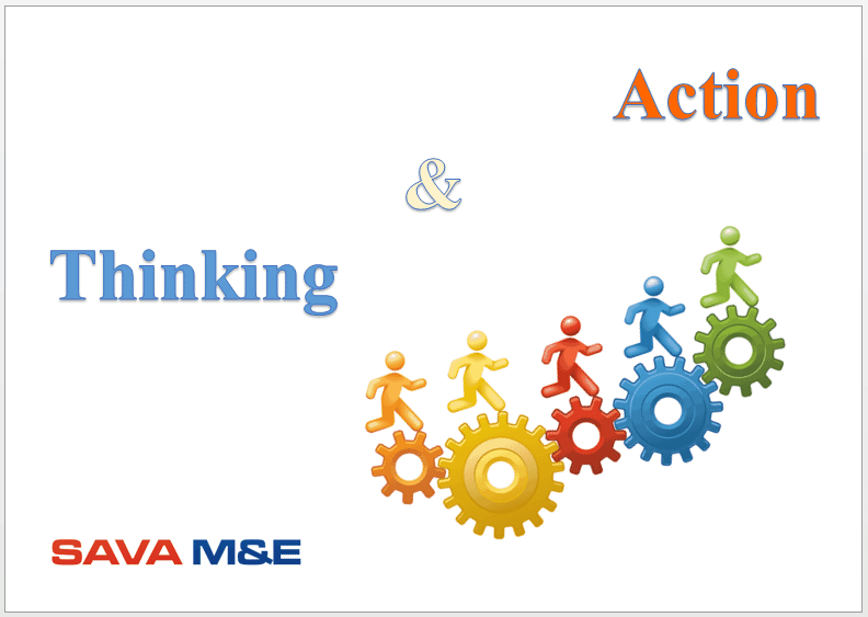Thinking and Action - SAVA M&E